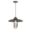 Troy RLM Lighting 5DRID13MBK-BC Black Retro Industrial 13" Wide Single ...