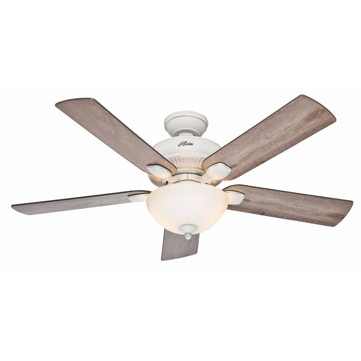 Hunter 60 Regalia New Bronze Ceiling Fan With Light | Shelly Lighting