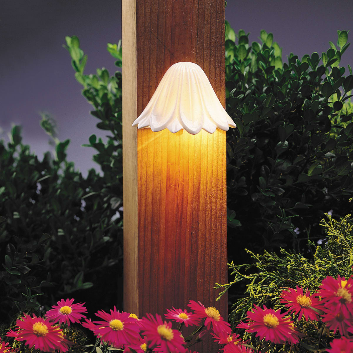 Tulip Low Voltage Landscape Path Light | Shelly Lighting