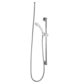Chicago Faucets 151-CP Chrome 2.5 GPM Handheld Shower with 60 ...