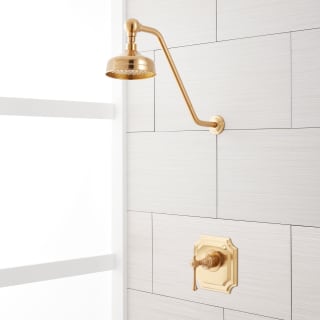 Signature Hardware 442654 Brushed Gold Vintage Pressure Balanced Shower ...