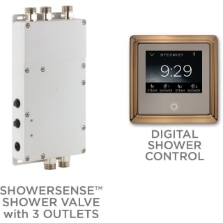 Steamist SH450TTSSHBB Brushed Bronze Total Sense Steam Shower Control ...