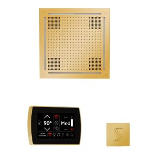 ThermaSol WHSTPSS-PG Polished Gold Hydrovive Steam Shower Kit ...