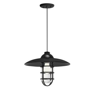 Troy RLM Lighting 5DRID13MBK-BC Black Retro Industrial 13" Wide Single ...