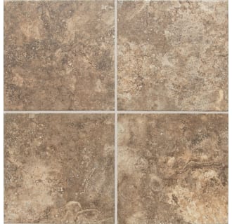 Floor Tile | Build.com