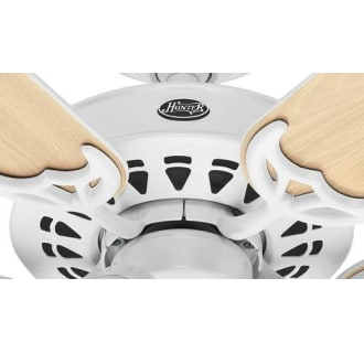 Hunter 26405 White Architect Plus 52" 5 Blade Ceiling Fan - Blades and ...