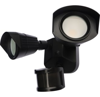 Motion Sensor Lights at LightingDirecti.com