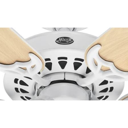 Hunter 26405 White Architect Plus 52" 5 Blade Ceiling Fan - Blades and ...