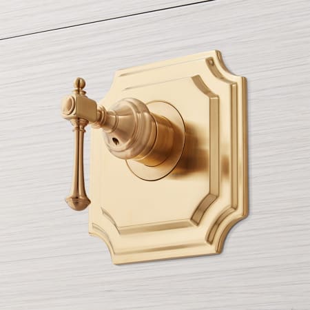 Signature Hardware 442654 Brushed Gold Vintage Pressure Balanced Shower ...
