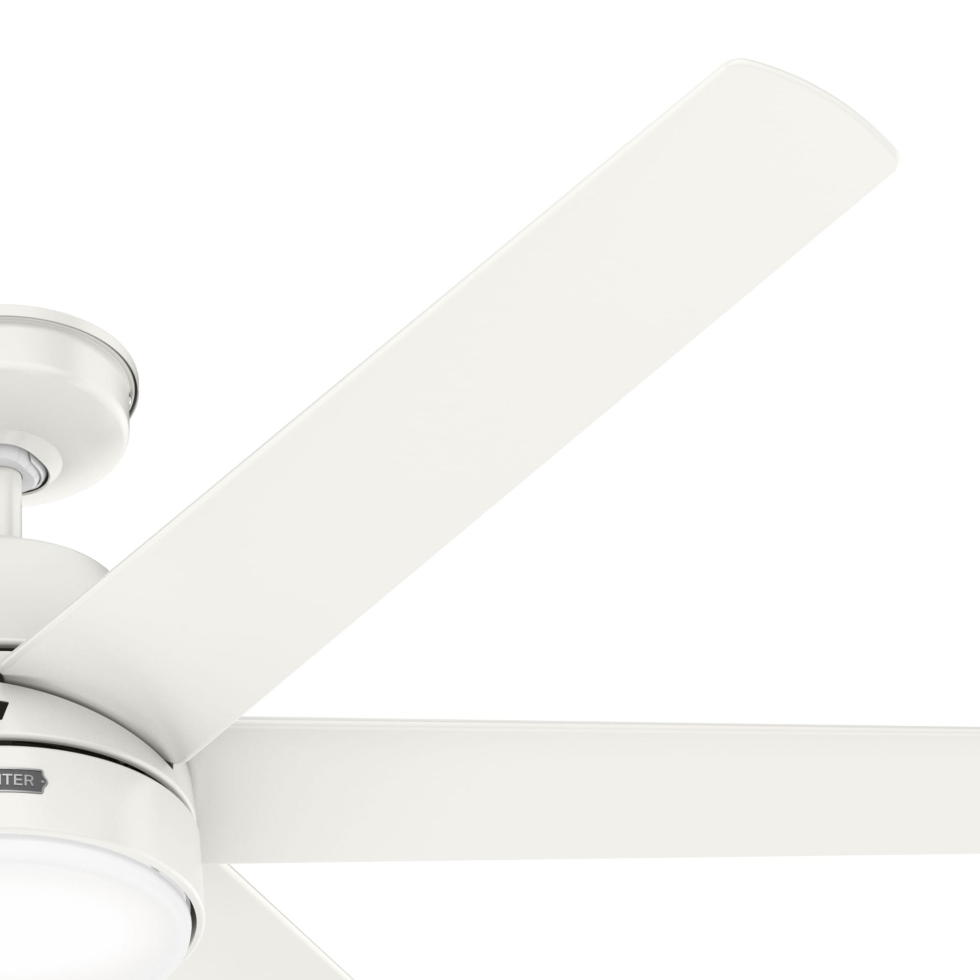 Hunter 60 Inch White Ceiling Fan | Shelly Lighting