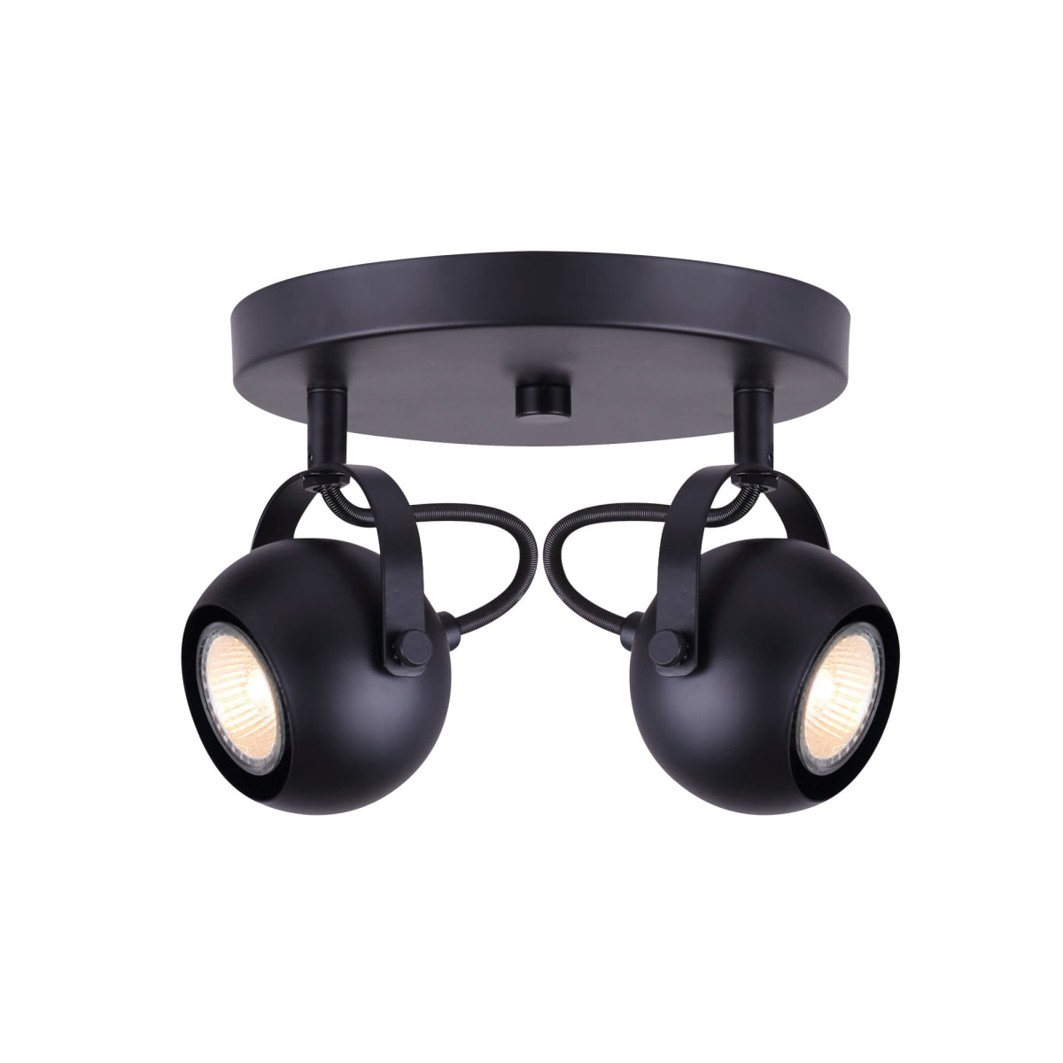 Canarm ICW743A02BK10 Murphy 2 Light 9" Wide | Build.com