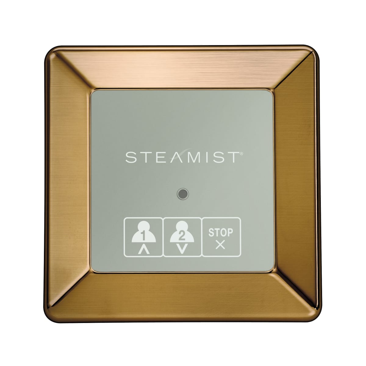 Steamist 220-BB Total Sense Transitional Steambath On/Off | Build.com