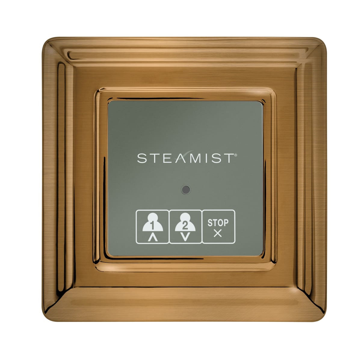 Steamist 220T-BB Total Sense Transitional | Build.com