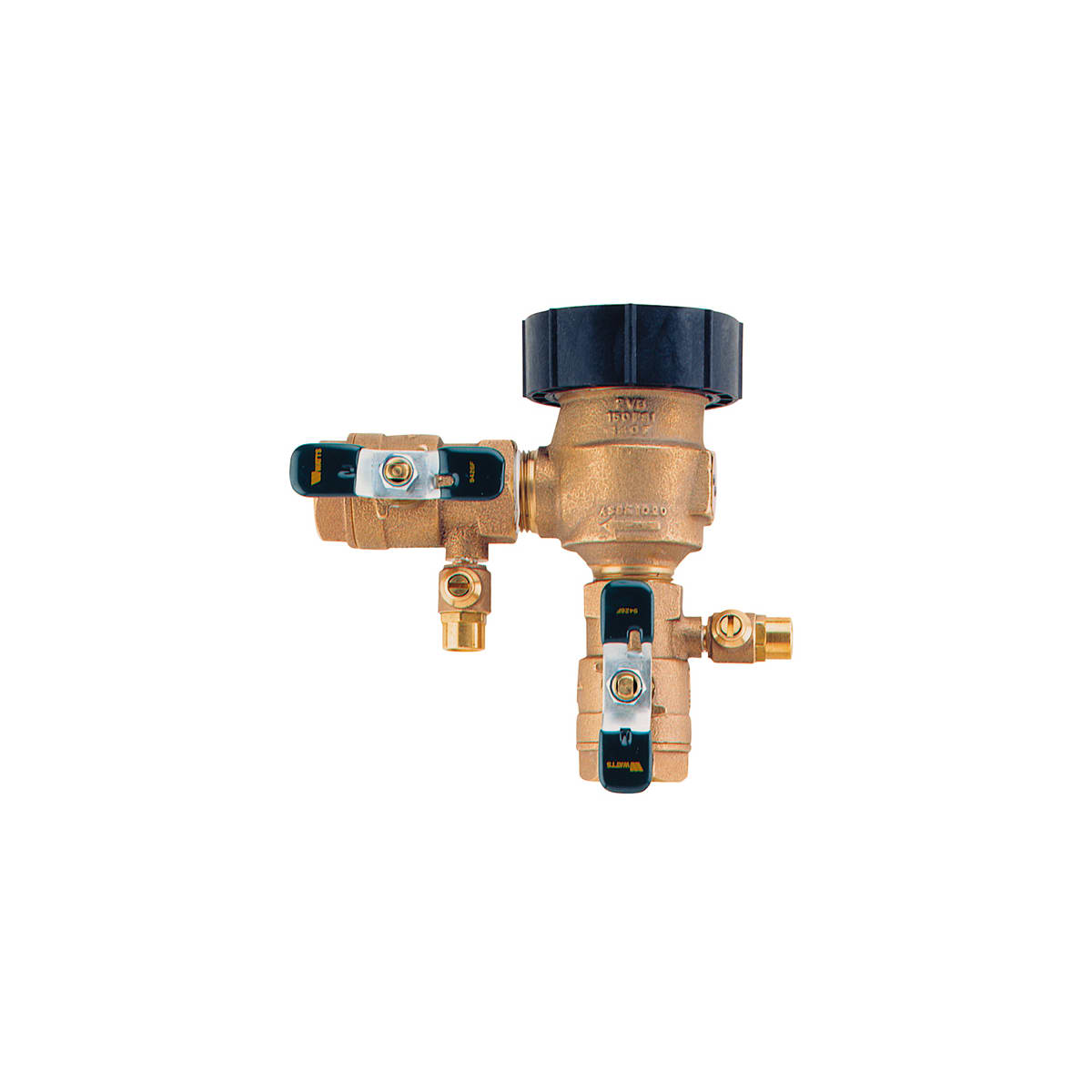 Watts 0388002 1 800M4QT Anti Siphon Pressure Vacuum Breaker Build