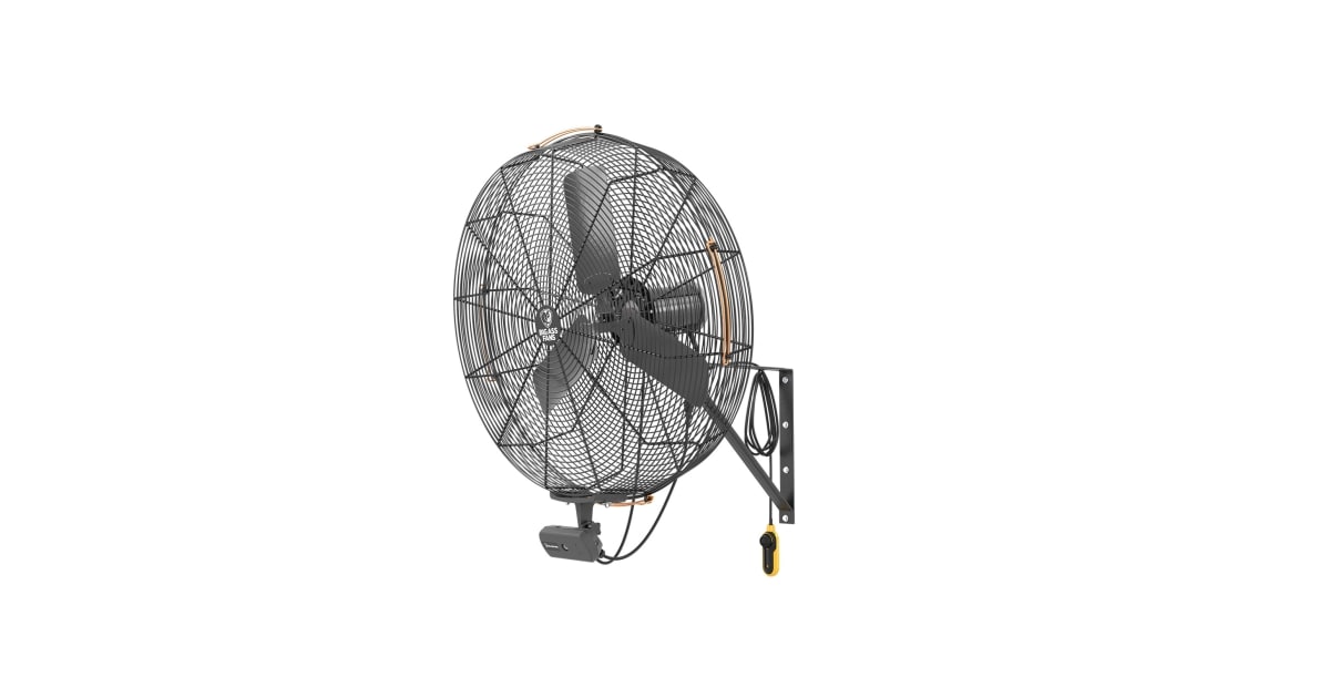 Big Ass Fans F-AE1-2001A750C716L12S34 20" AirEye with Swivel Mount ...