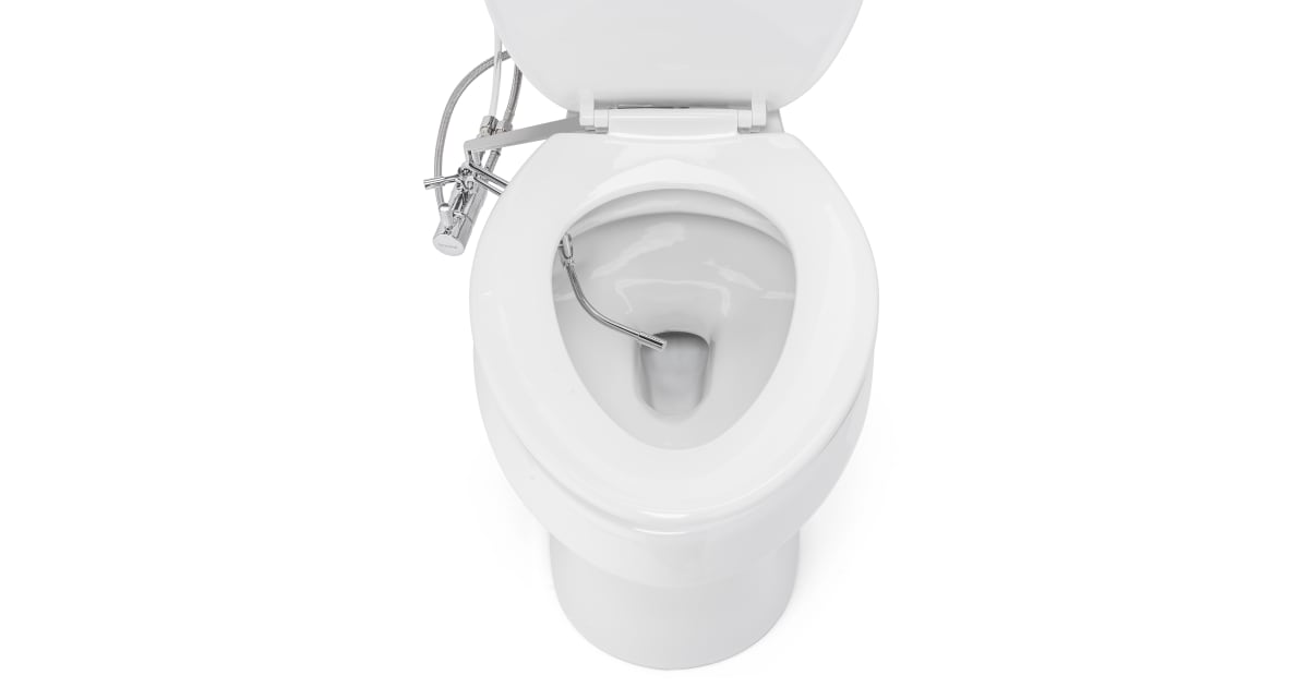 Brondell SMB-25 Side Mounted Bidet with Adjustable Spray | Build.com