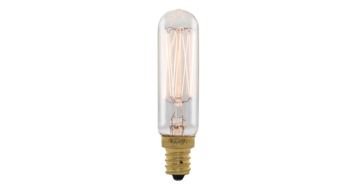Bulbrite 861500 Pack of (4) 25 Watt Vintage Edison Dimmable T6 ...