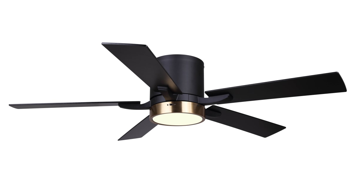 Canarm CF52QUI5BKG Quinn 19.88" 5 Blade Indoor Ceiling Fan with Remote ...