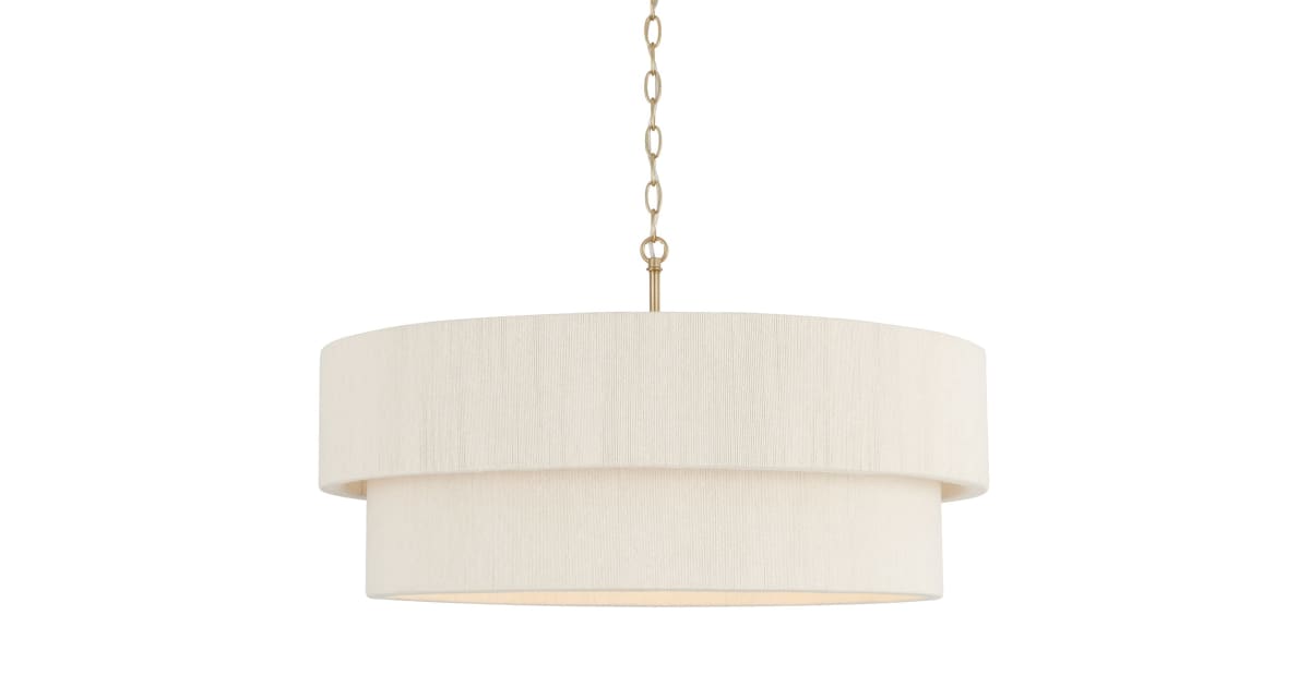 Capital Lighting 349842MA Delaney 4 Light 30" Wide Drum Chandelier ...