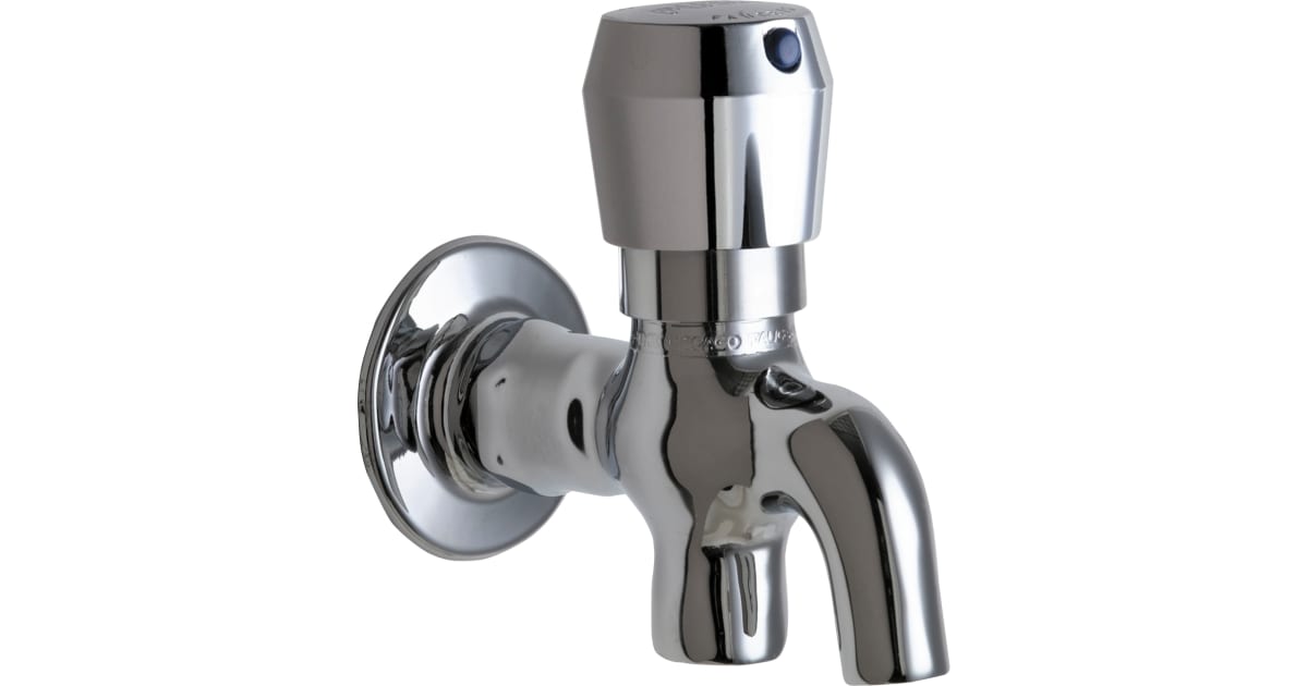 Chicago Faucets 324-665PSHCP Wall Mounted Fitting with Metering Valve ...