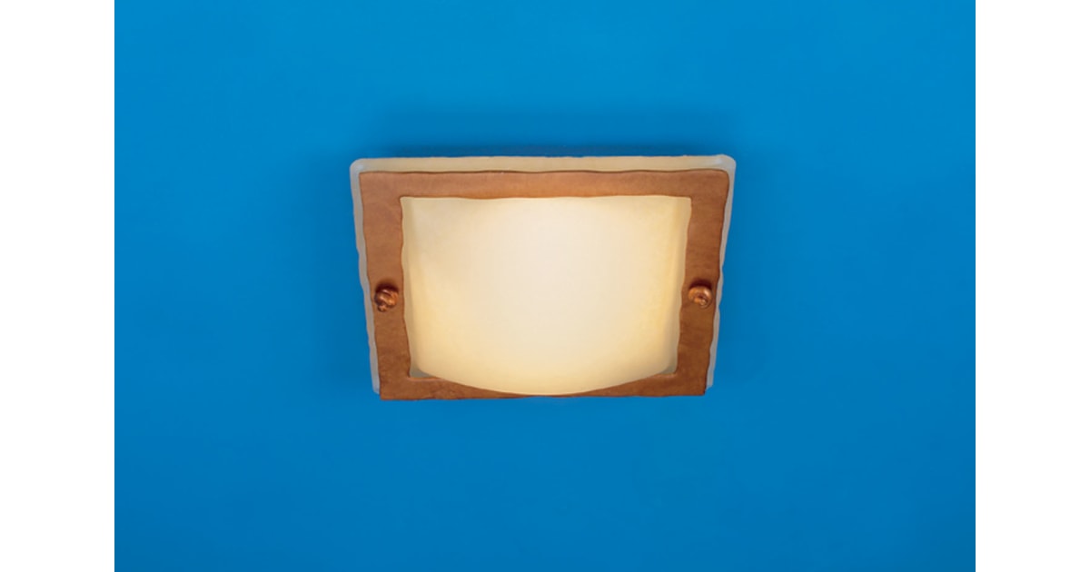 Condor Lighting Z502-FG0 Small ADA Flushmount Ceiling Fixture from the ...