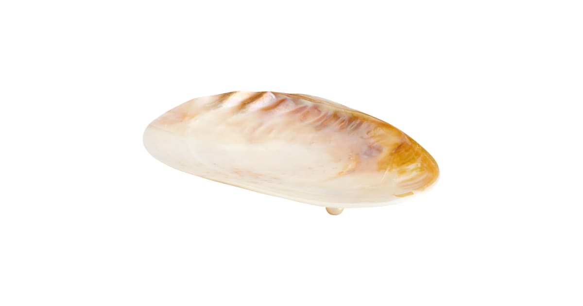 Cyan Design 09834 Abalone 6" Wide Shell Tray | Ferguson Home
