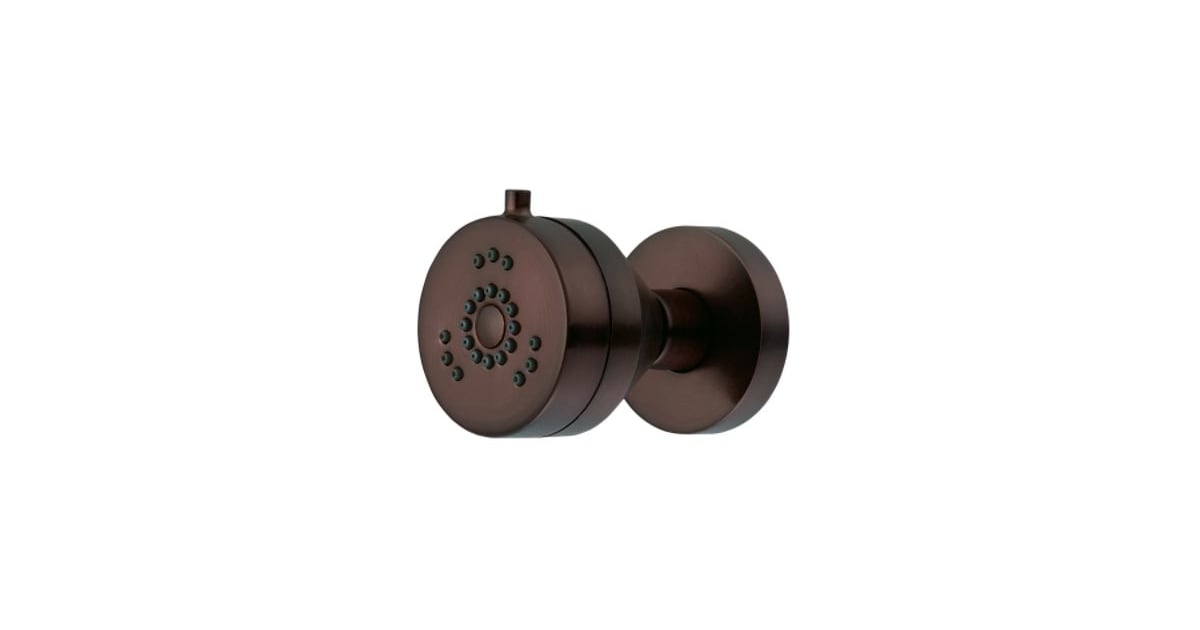 Danze D460258RB Parma 2 Function Round Brass Body Spray | Ferguson Home