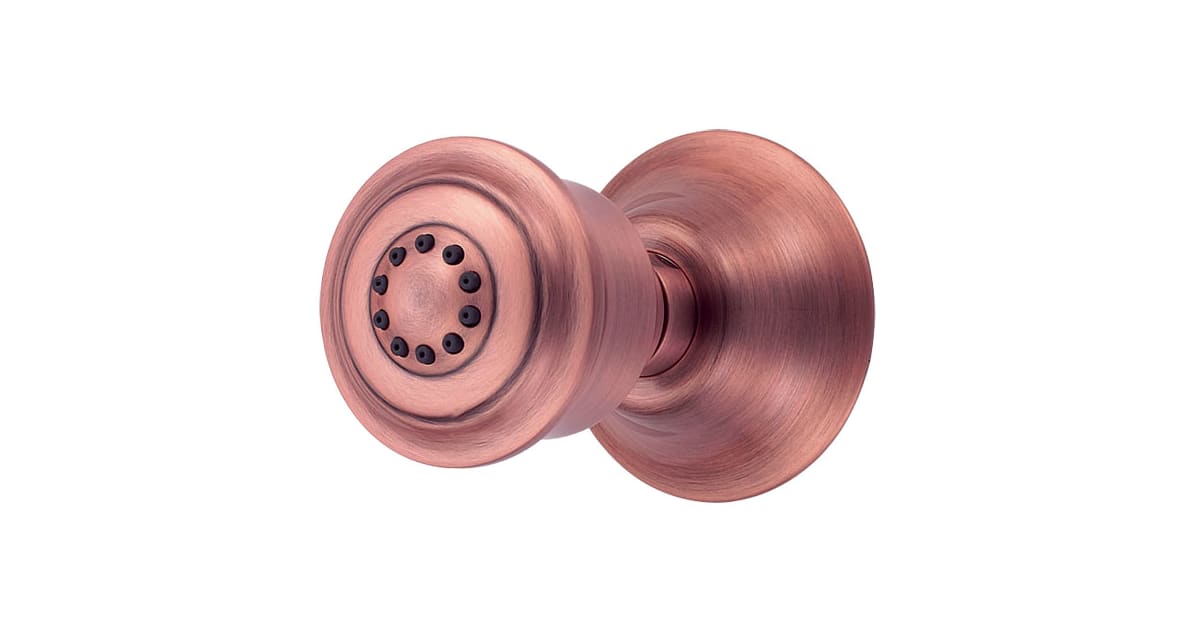 Danze D460155AC Adjustable Wall Mounted Body Spray | Build.com