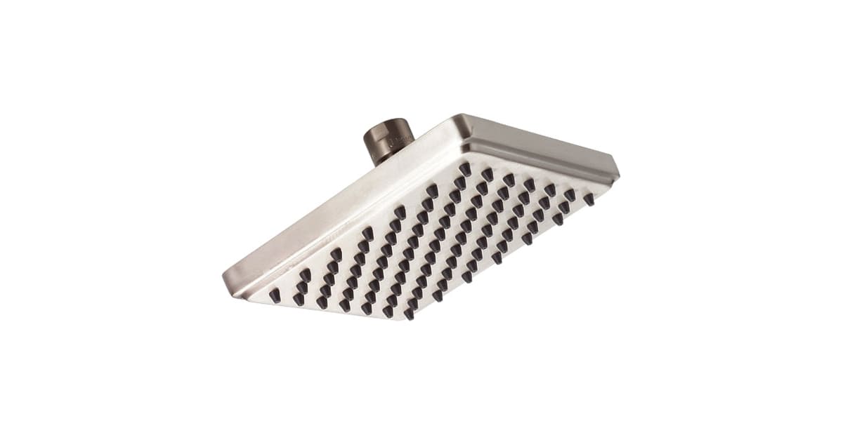 Danze D461160BN 2.5 GPM Rain Shower Head | Ferguson Home
