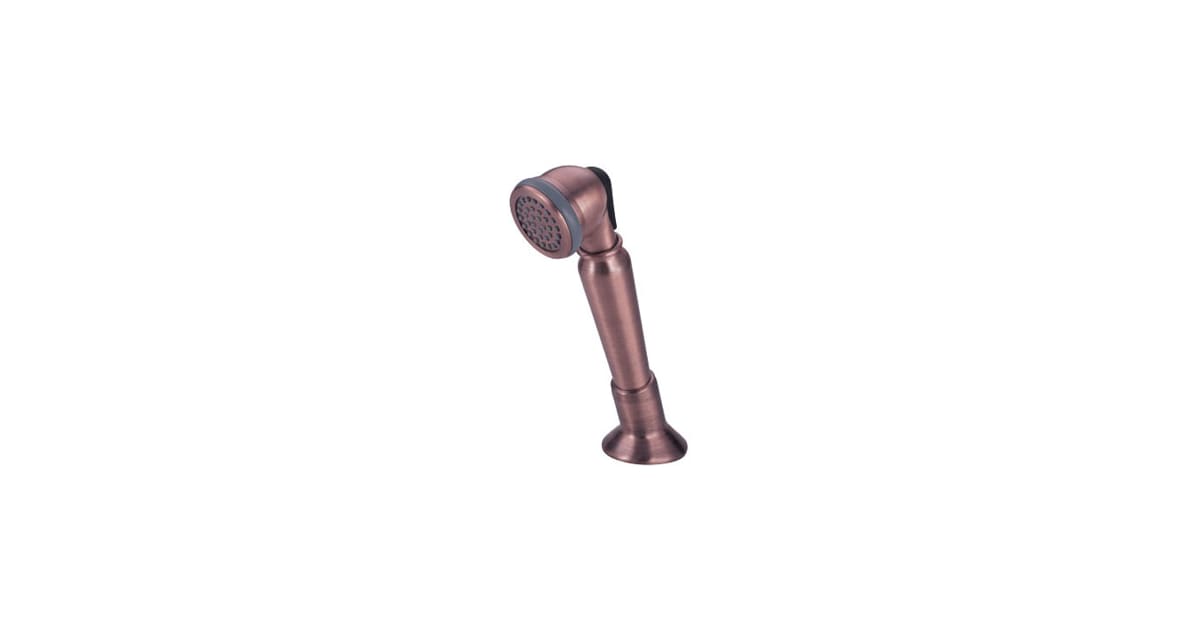 Danze D491110AC Single Function Hand Shower Only | Ferguson Home