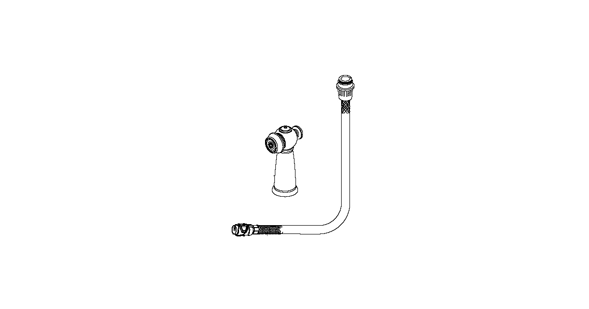 Delta RP37489CB Spray and Hose Assembly | Build.com