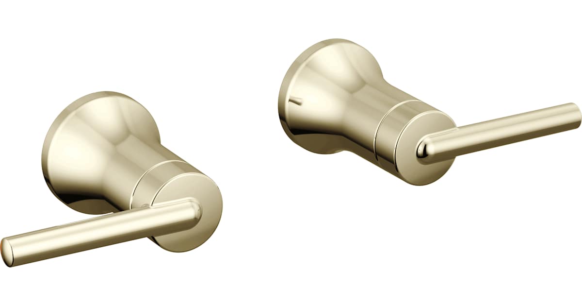 Delta H557PN Trinsic Bathroom Faucet Wall Mounted Lever Handles ...