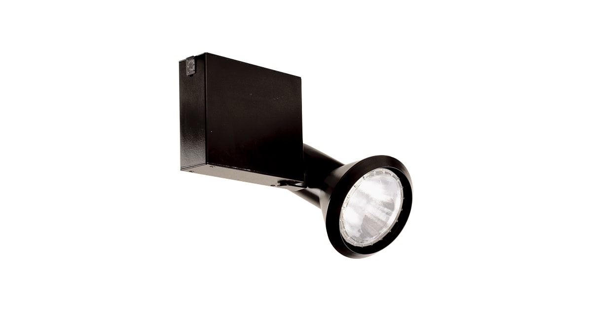 Elco ET724B 70W Line Voltage Metal Halide PAR30 Fixture | Build.com