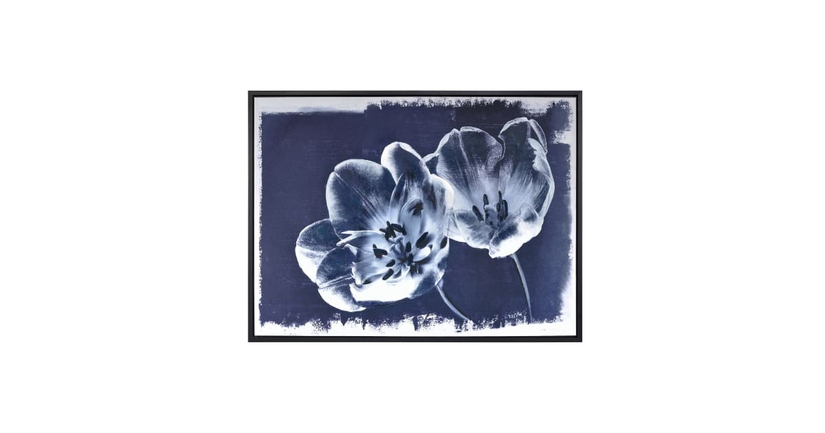 Elk Home S0026-11432 Meru 48" x 36" Framed Botanical, Floral Painting ...