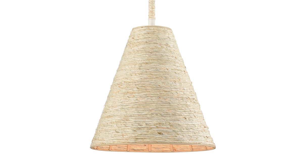 Elk Lighting 32455/1 Abaca 12" Wide Pendant | Ferguson Home