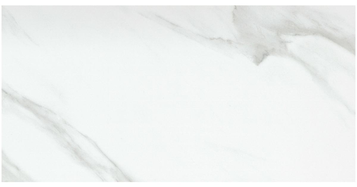 Emser Tile F19NOBLAS1224P Nobleza - 12" x 24" Floor and Wall Tile ...