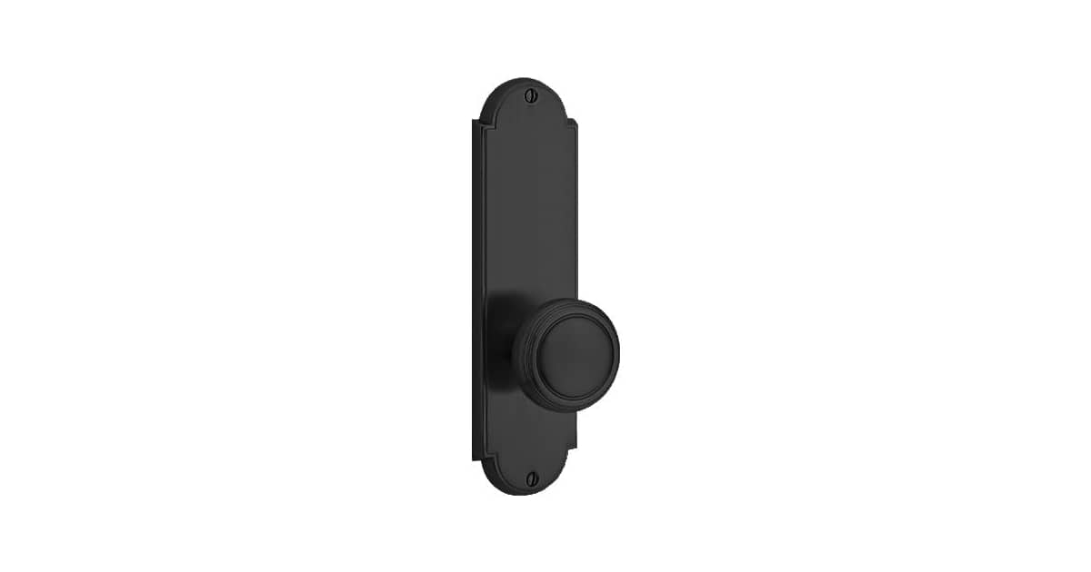 Emtek 8816US19 Delaware Series Privacy Entry Set with 9 Inch Tall ...