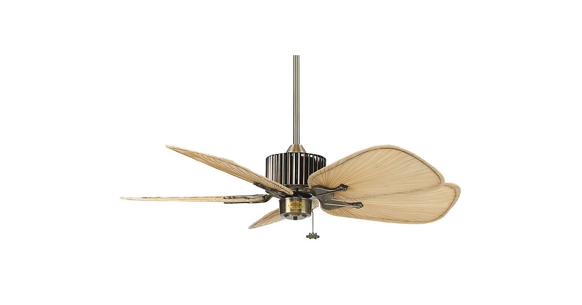 Fanimation FP1320AB Five Bladed Indoor Ceiling Fan with Multiple Blade ...