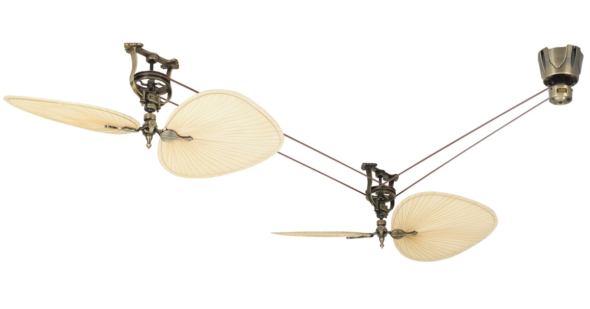 Fanimation Brewmaster 48" 2 Blade Ceiling Fan | Ferguson Home
