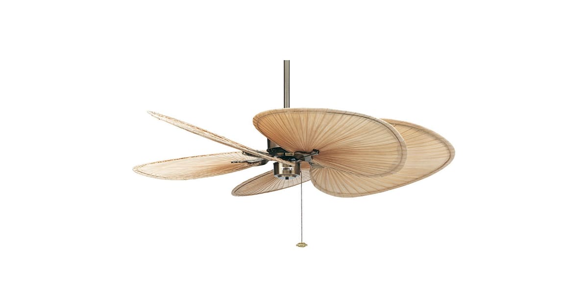 Fanimation Islander 44" 5 Blade Ceiling Fan | Ferguson Home