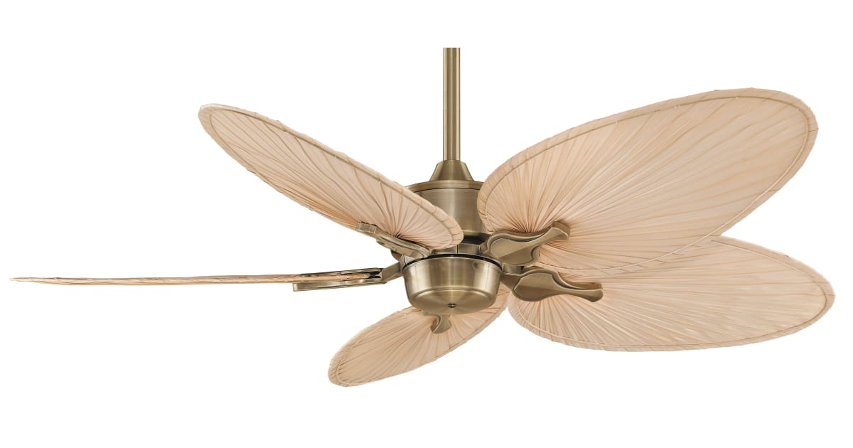 Fanimation FPD3250ABP4 Islander 36" 5 Blade Indoor DC Motor Ceiling Fan ...