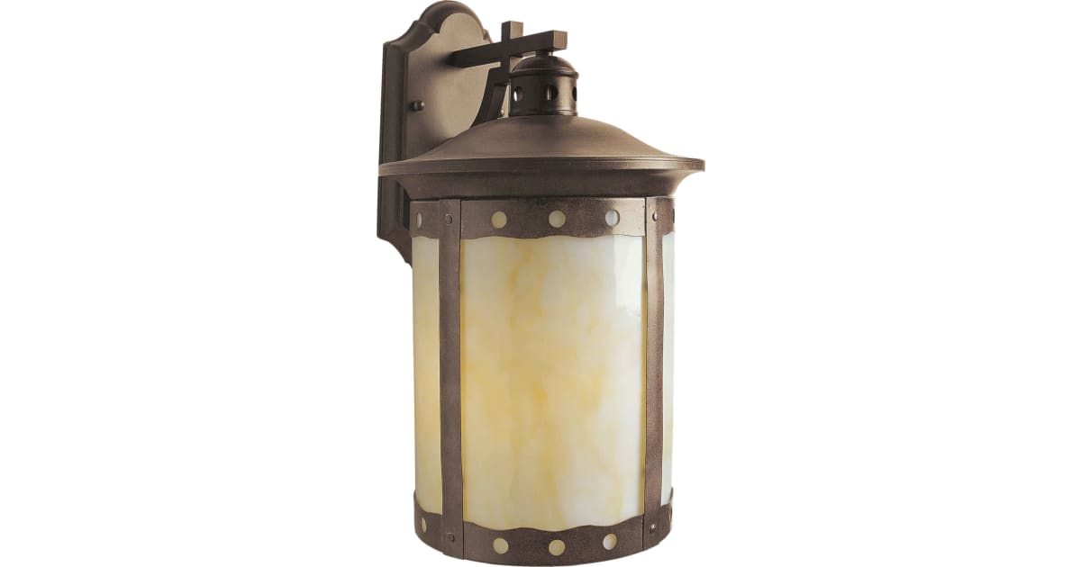 Forte Lighting 10032-01-41 Country / Rustic Energy Efficient ...