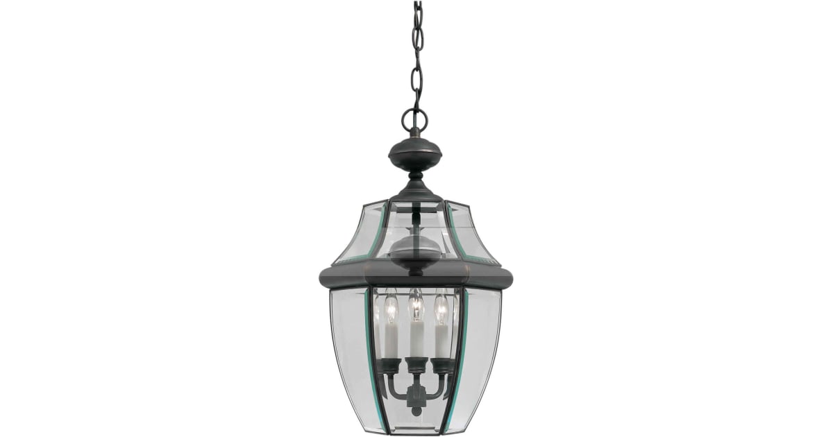 Forte Lighting 1605-03-14 Outdoor Pendant from the Exterior Lighting ...