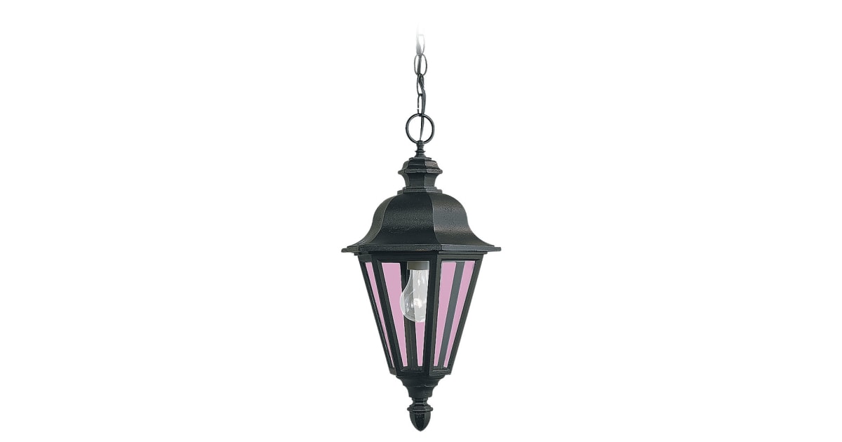 Generation Lighting 6025-12 Brentwood 10" Wide Outdoor Pendant with Clear Glass | Ferguson Home