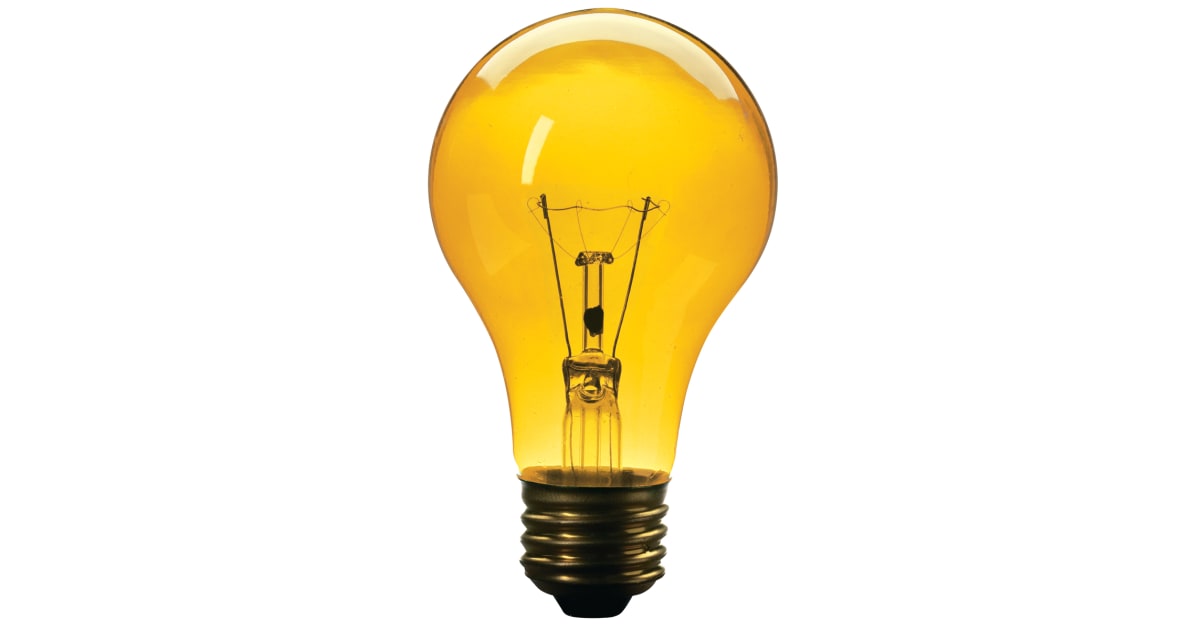Globe Electric 2697501 Single 25 Watt A19 Incandescent Bug Light Bulb ...