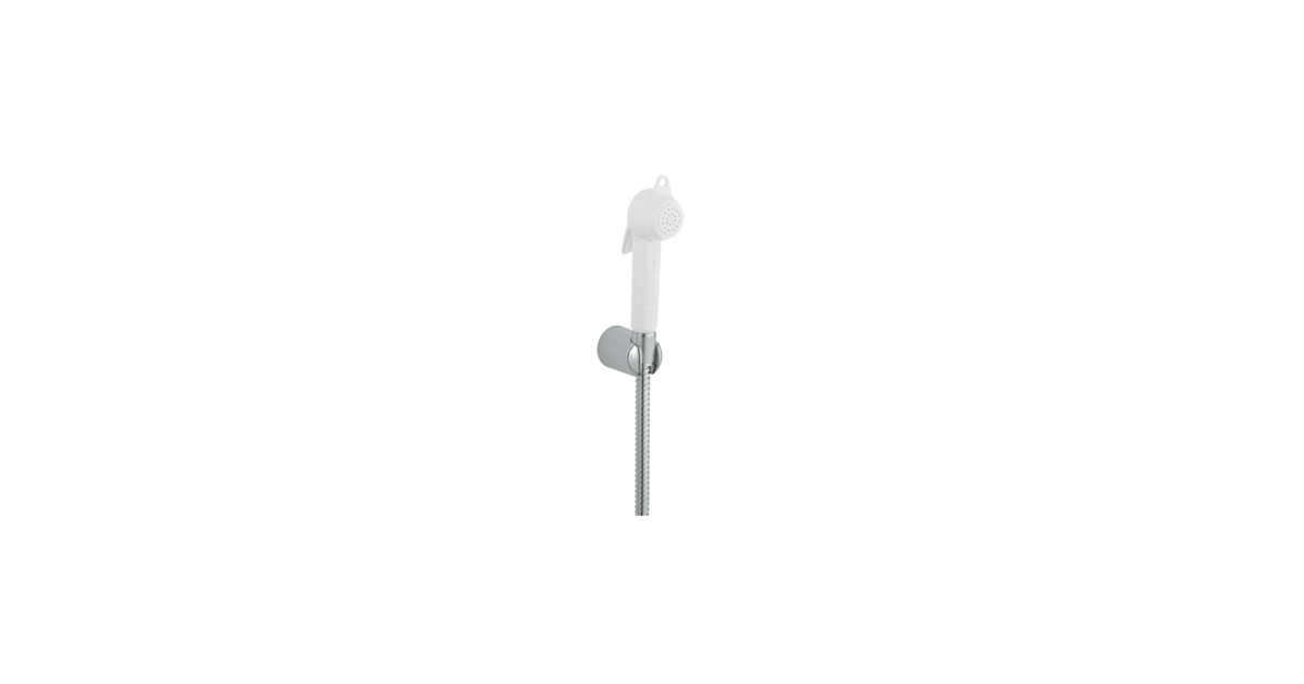 Grohe 27812IL0 Single Function Hand Shower Package - Includes Hose and ...