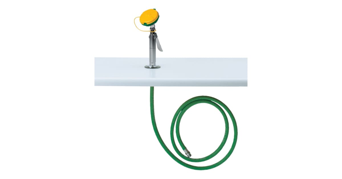 Haws 8904 Counter-mounted eye/face wash with AXION MSR™ eye/face wash ...