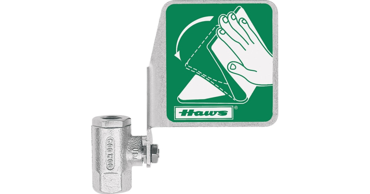 Haws SP227 Vertical Installation Ball Valve with Flag - 1/2" Inlet x 3/ ...