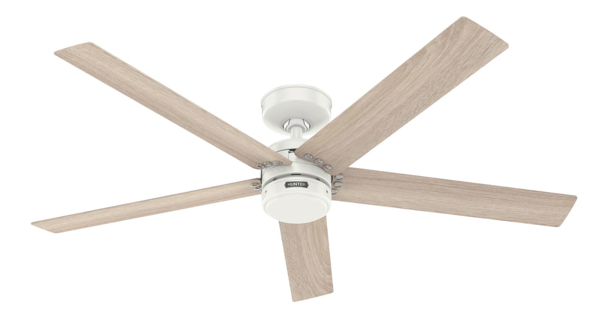 Hunter 52929 Burton 52" 5 Blade Indoor / Outdoor Ceiling Fan with Wall ...
