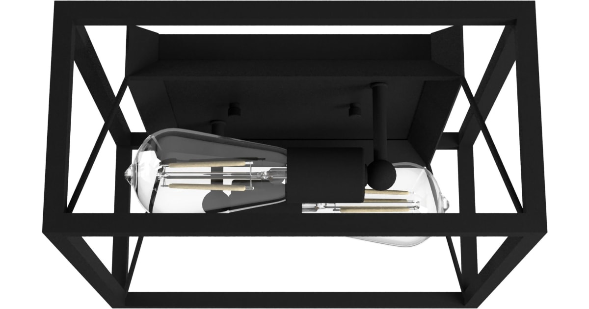 Hunter 19410 Doherty 2 Light 12" Wide Flush Mount Ceiling Fixture ...